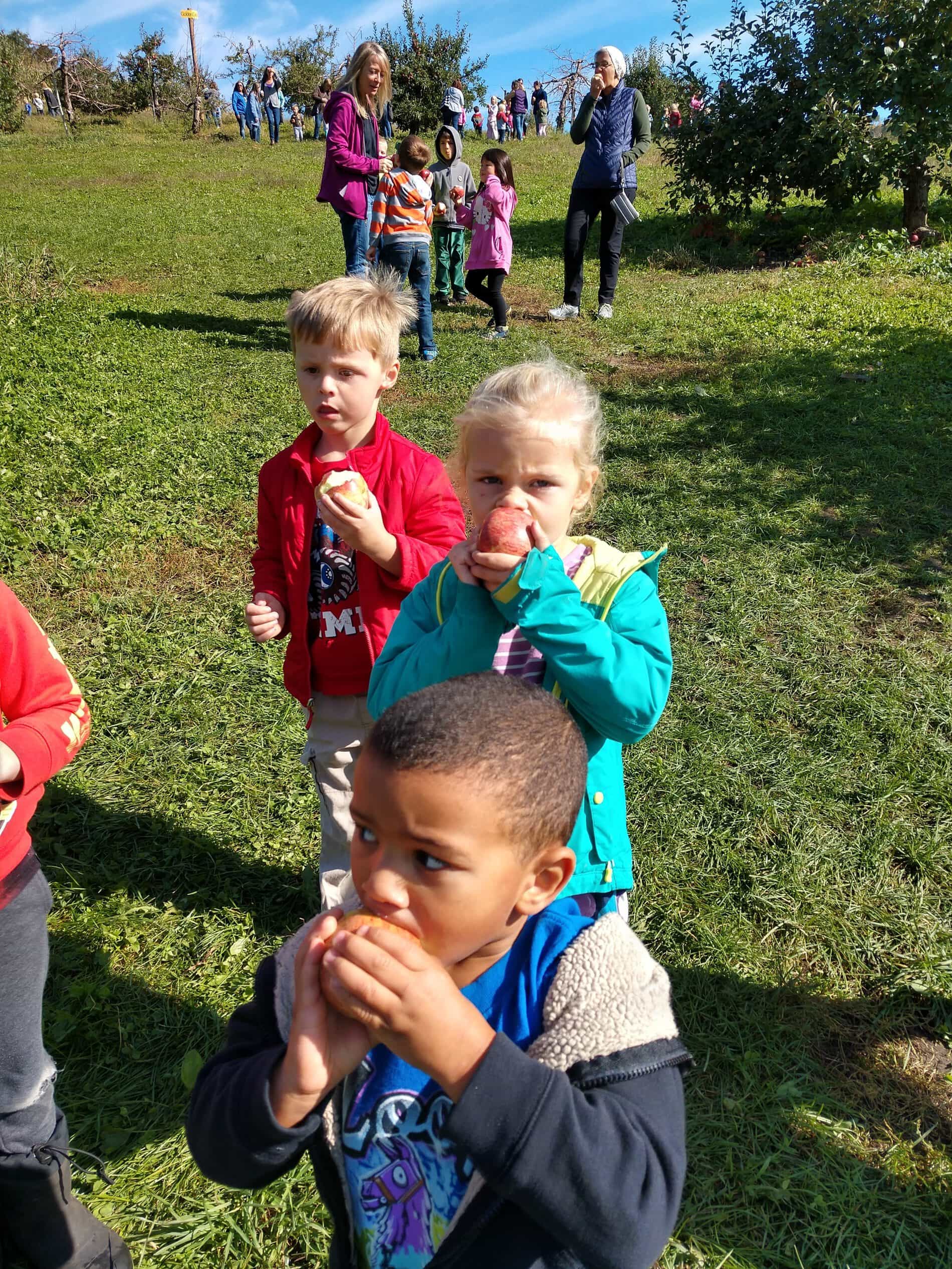Apple Orchard Field Trip