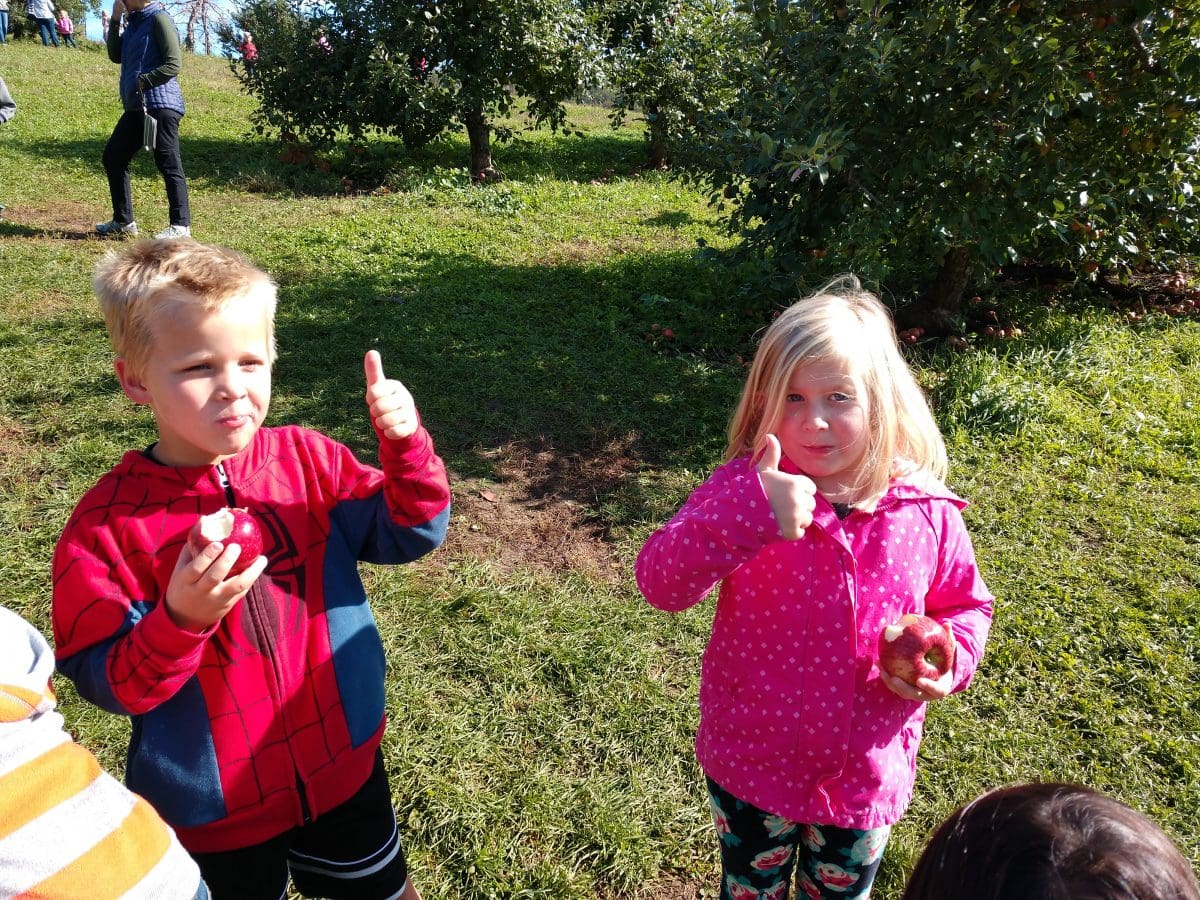 Apple Orchard Field Trip