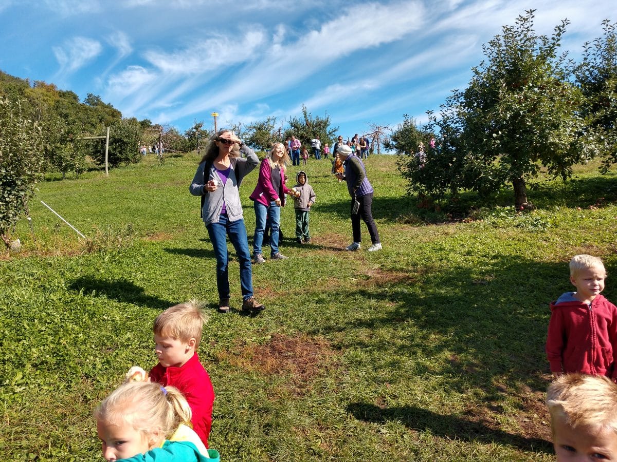 Apple Orchard Field Trip
