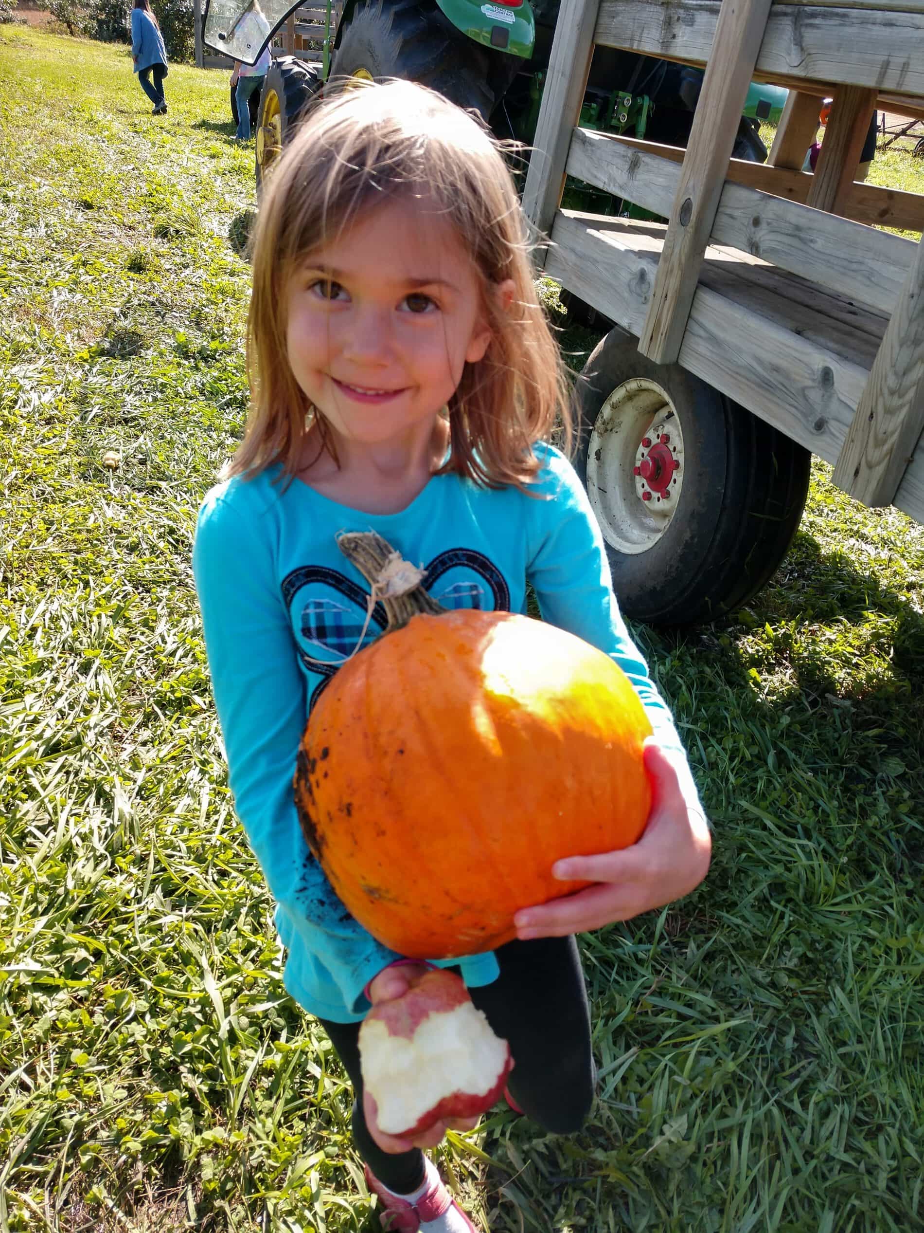 Apple Orchard Field Trip
