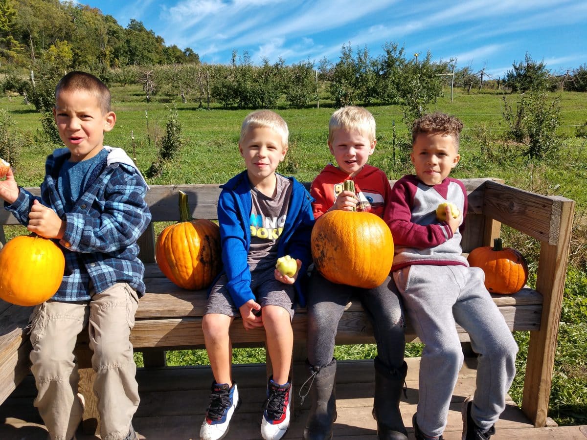 Apple Orchard Field Trip